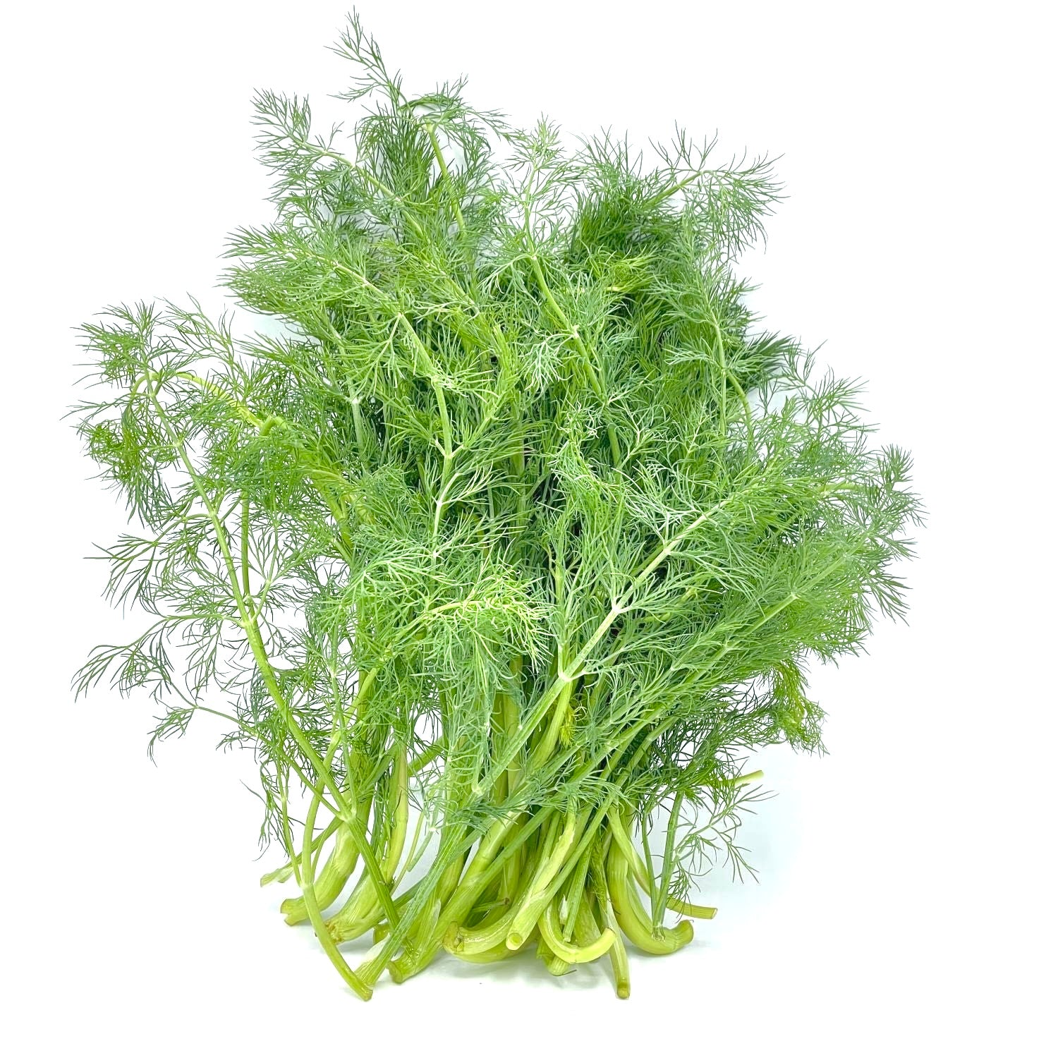 dille für Kaninchen | Kaninchenkiste