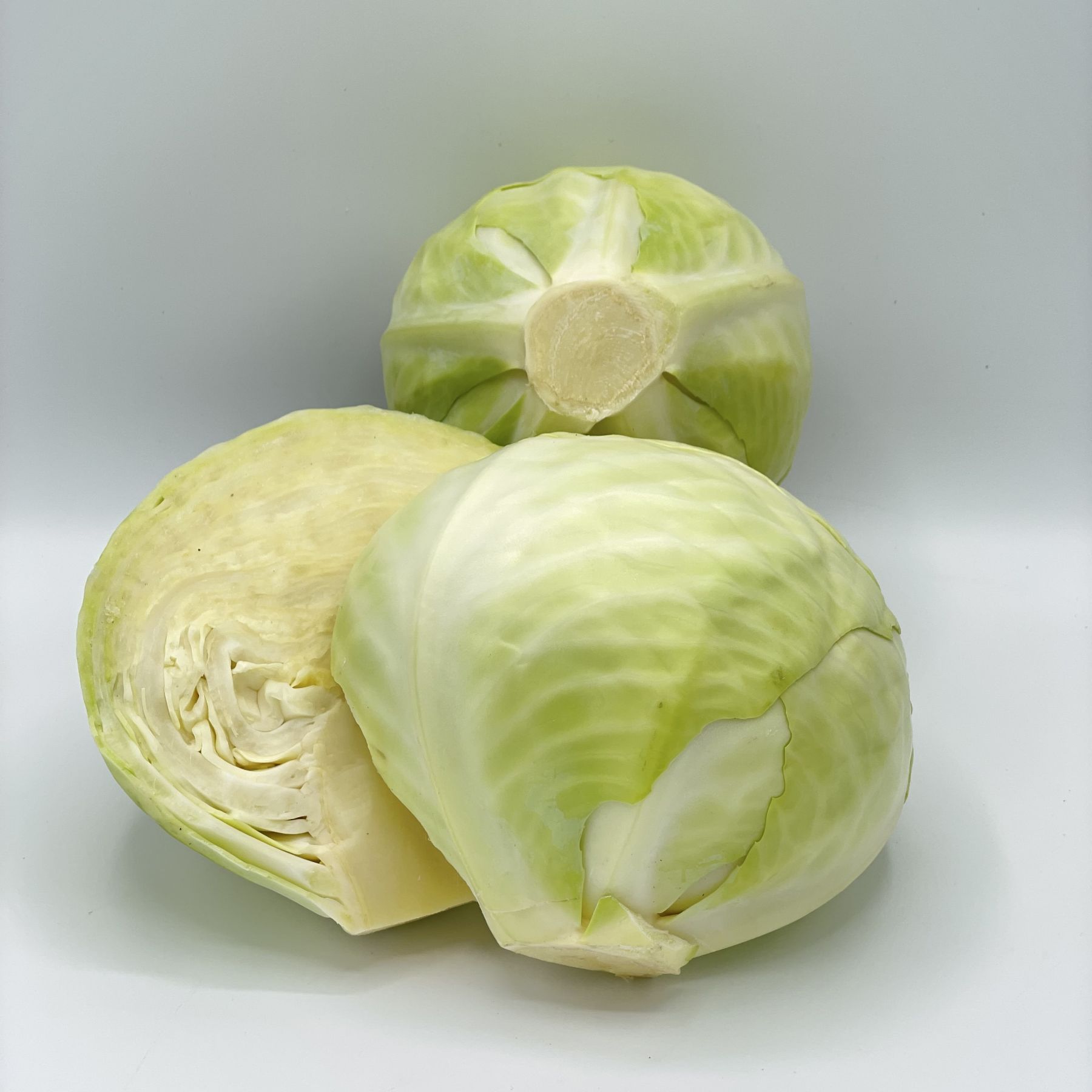 Weißkohl – Kaninchenkiste